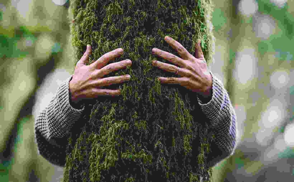 Energy & Environment Camp – Green Way